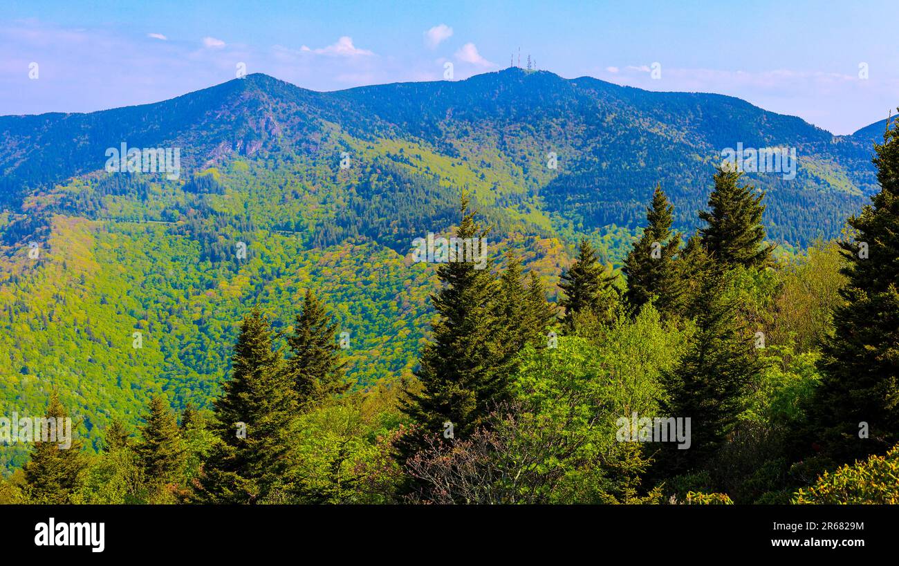 Pinnacle park north carolina hi-res stock photography and images - Alamy