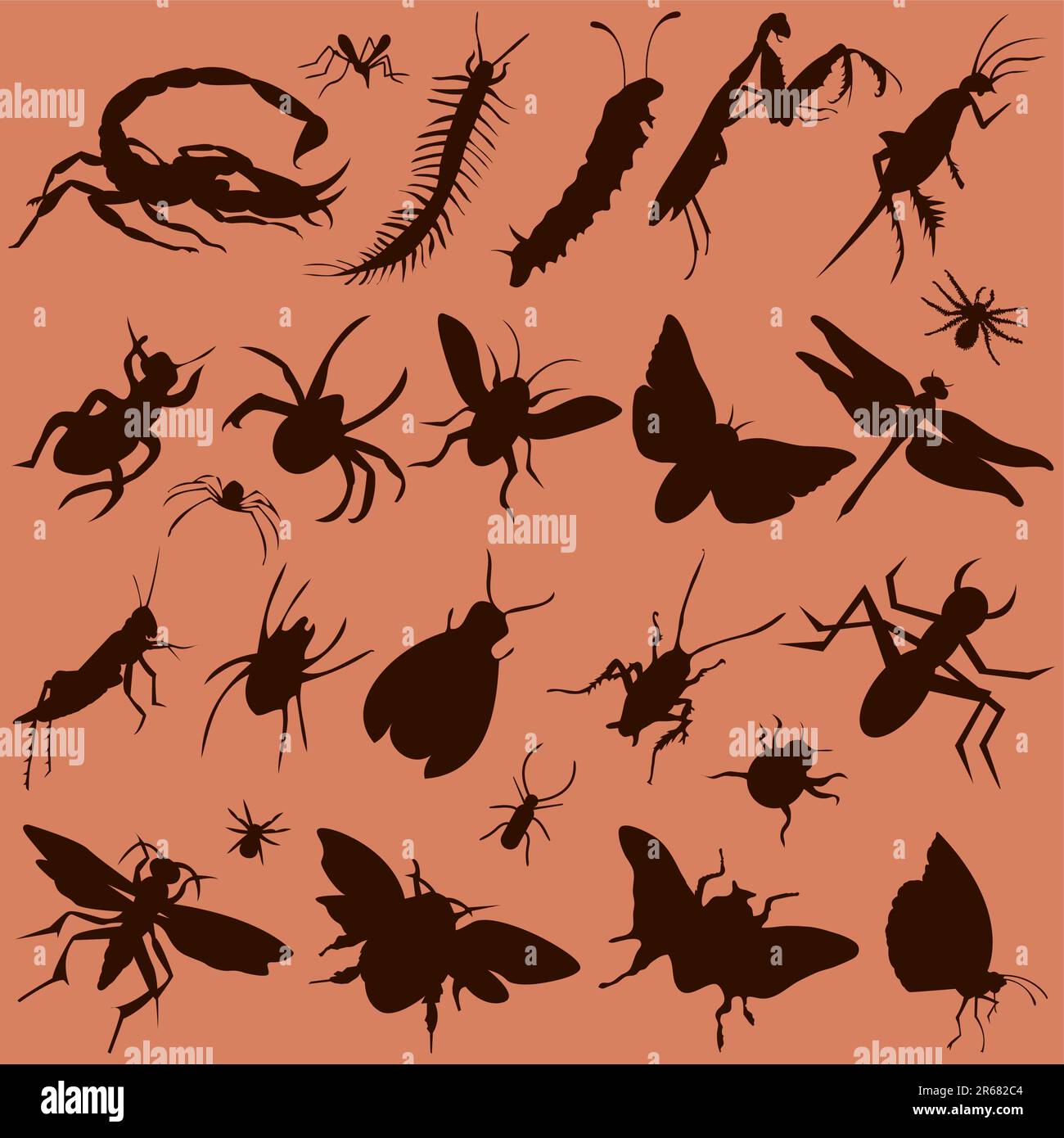 vector set of various bugs Stock Vector Image & Art - Alamy