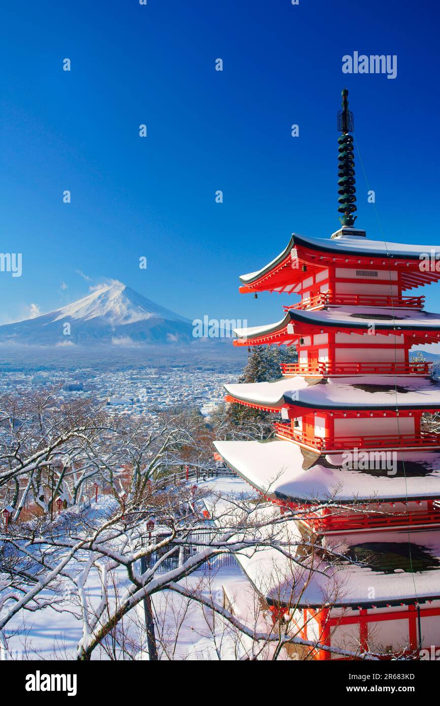 The five-story pagoda of Shinkurayama Sengen Shrine in the fresh snow ...