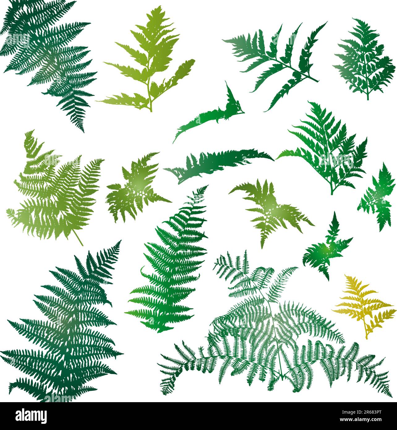 Illustrated decorative design Cut Out Stock Images & Pictures - Alamy
