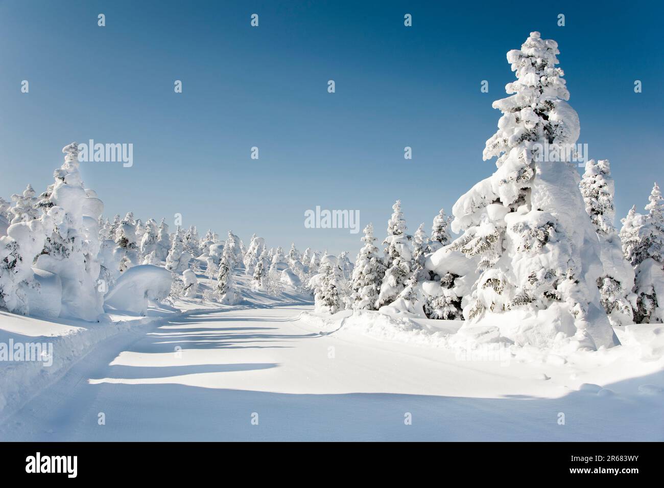 Zao onsen ski resort japan hi-res stock photography and images - Alamy