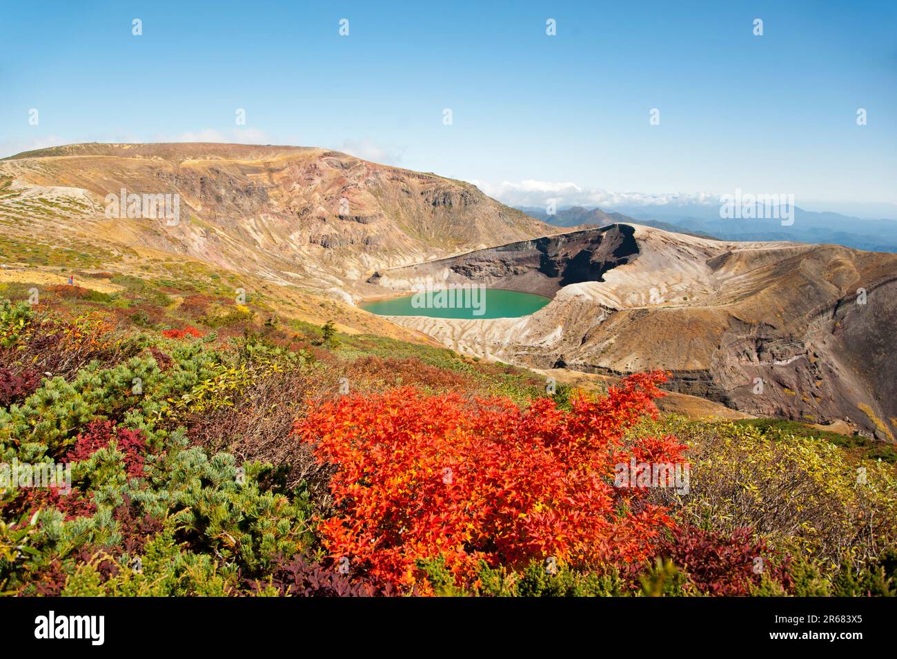 Autumn leaves of Gogama in Zao Stock Photo - Alamy