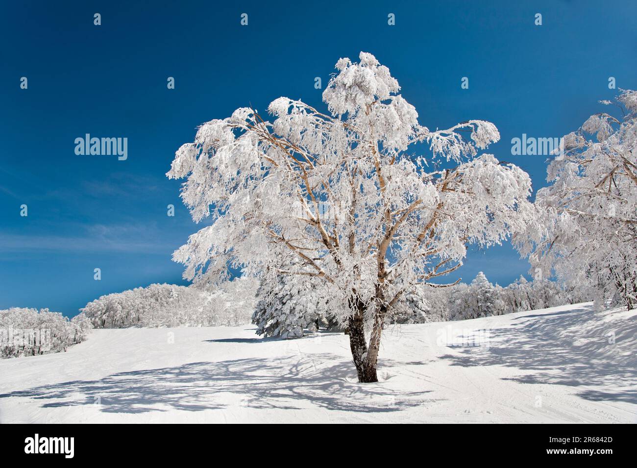 Zao onsen ski resort hi-res stock photography and images - Alamy