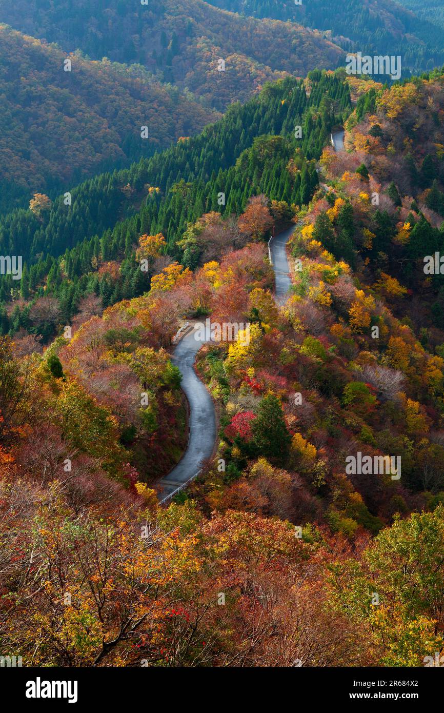 Autumn Leaves at Onyu Pass Stock Photo - Alamy