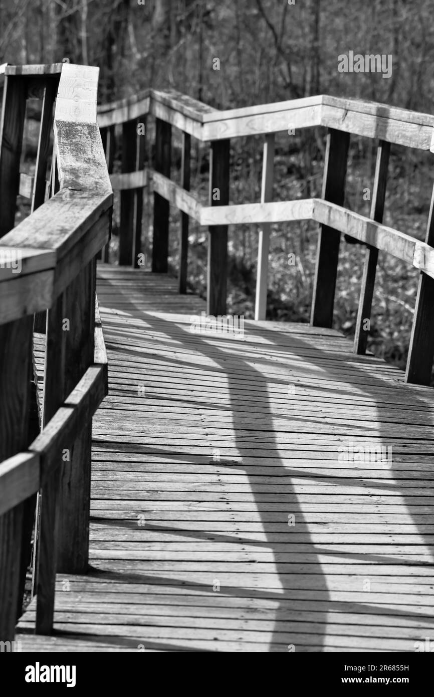 Wooden boardwalk foot bridge with railing through the wooded hiking ...