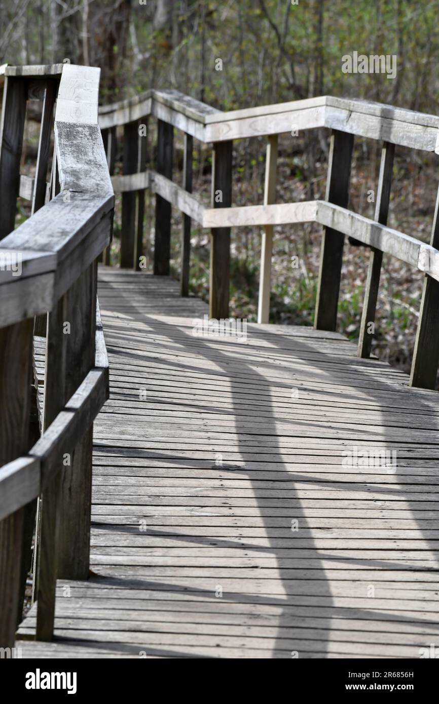Wooden boardwalk foot bridge with railing through the wooded hiking ...