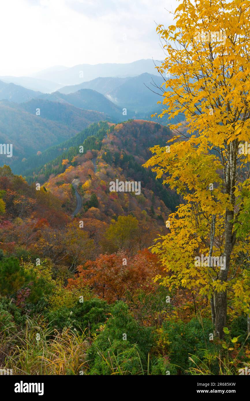 Maple pass hi-res stock photography and images - Alamy