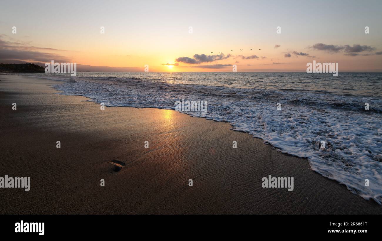 A Colorful Orange Ocean Sunset With A flock Of Birds Flying On The ...