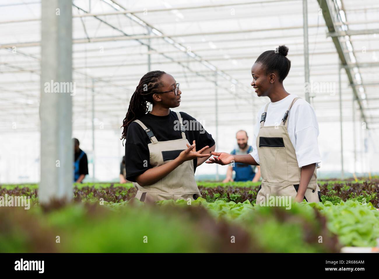 Happy farm workers discussing healthy sustainable negative co2 ...
