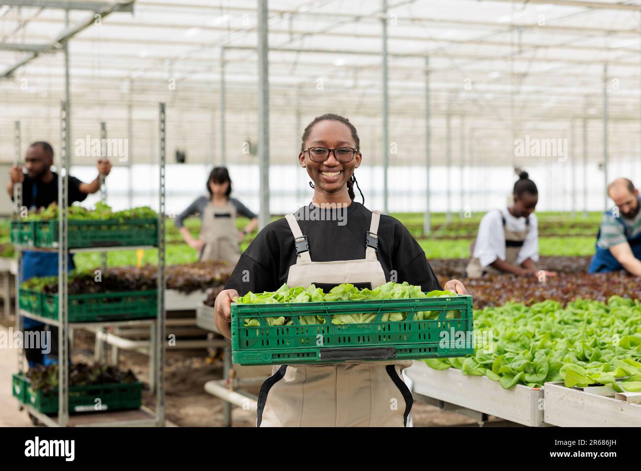Happy cheerful african american farm worker holding crate full of local ...