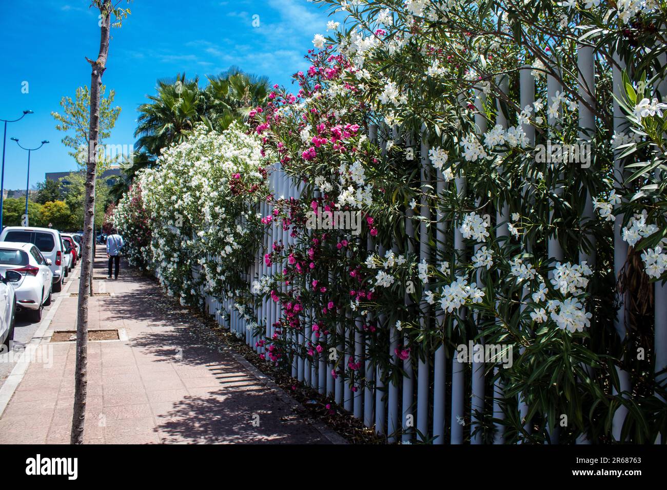 Seville, Spain - June 06, 2023 Architecture and cityscape of Cartuja ...