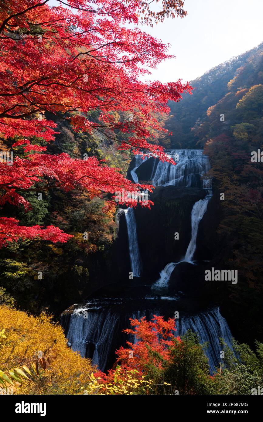Fukuroda waterfalls in autumn hi-res stock photography and images - Alamy