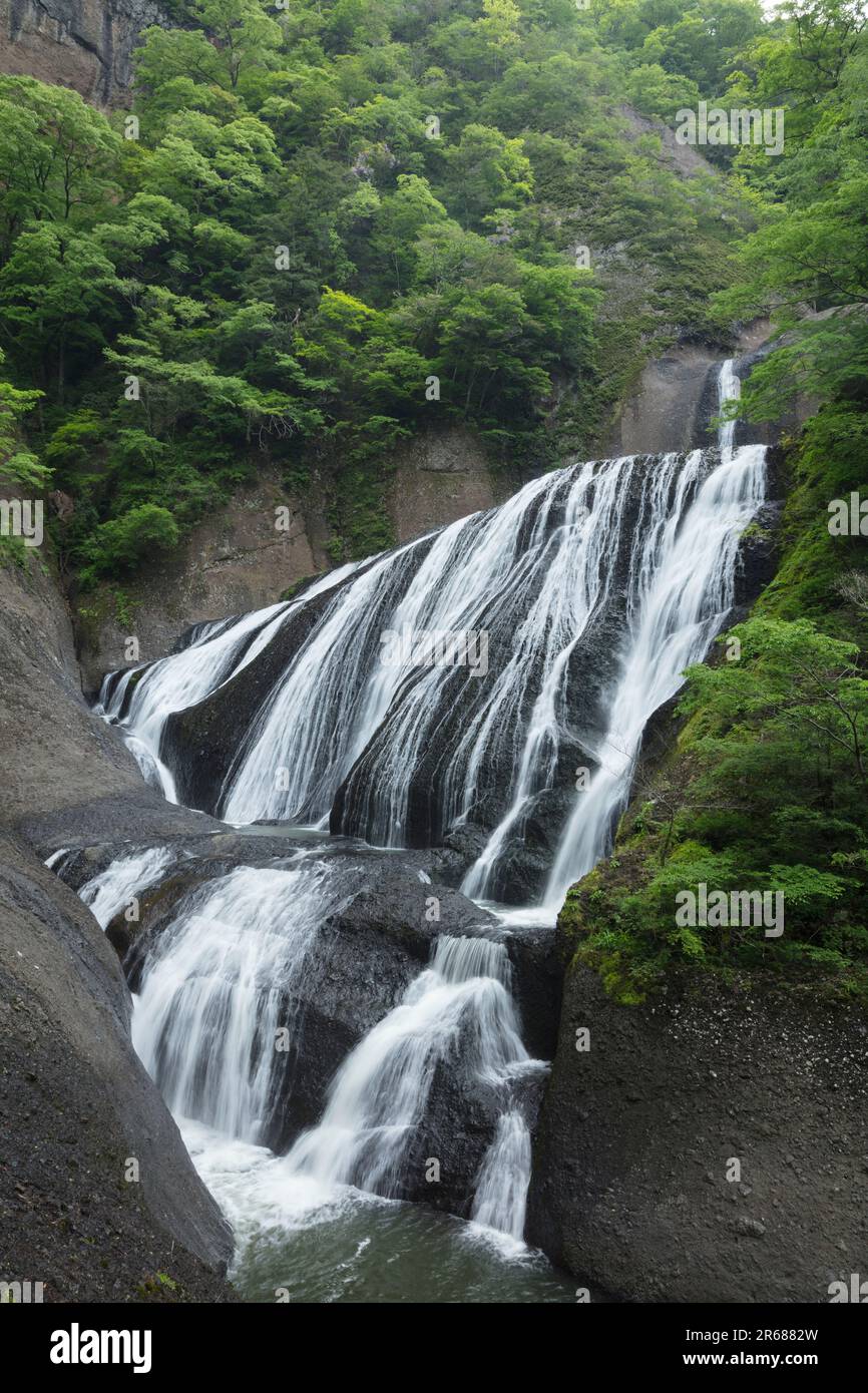 Fukuroda Falls in fresh green Stock Photo - Alamy