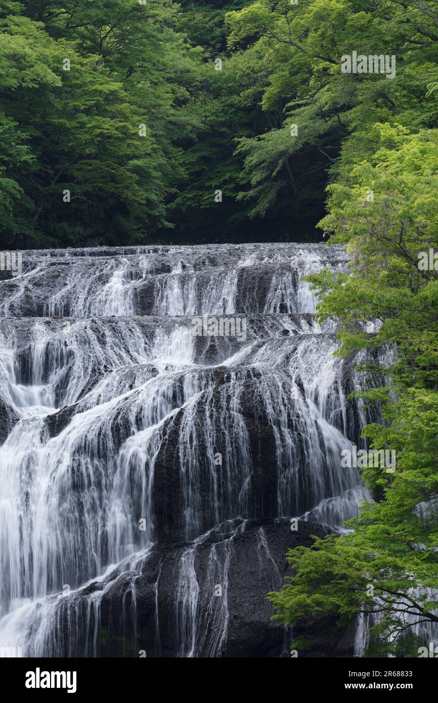 Fukuroda Falls in fresh green Stock Photo - Alamy