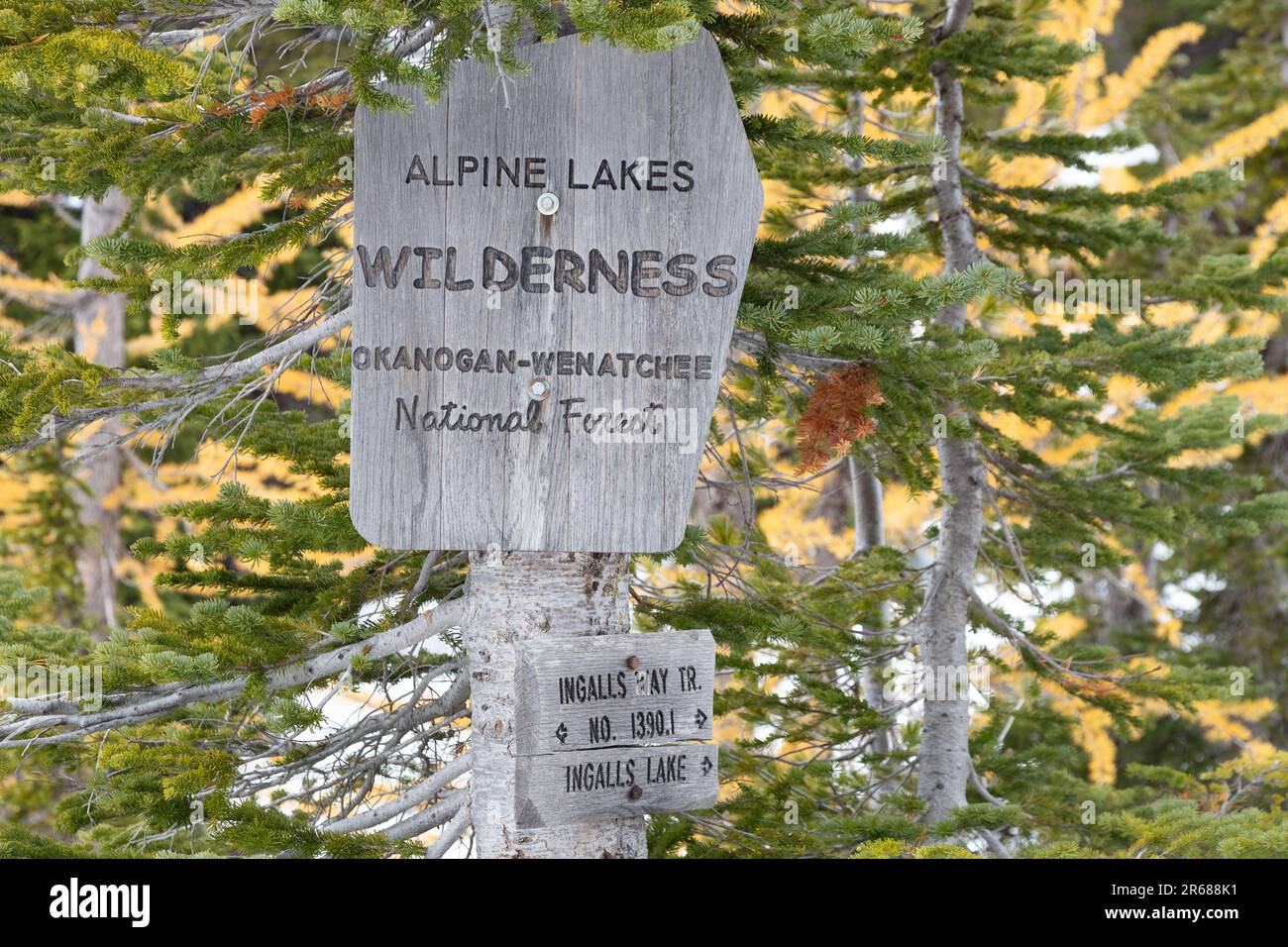 A sign warning of fallen branches from a tree is posted at its base ...