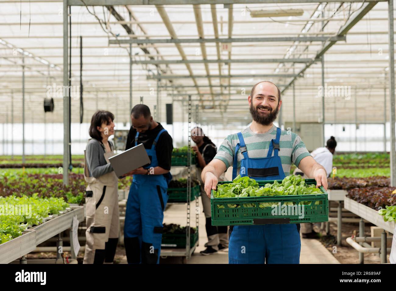 Busy group of farmers in modern entrepreneurial bio agricultural ...
