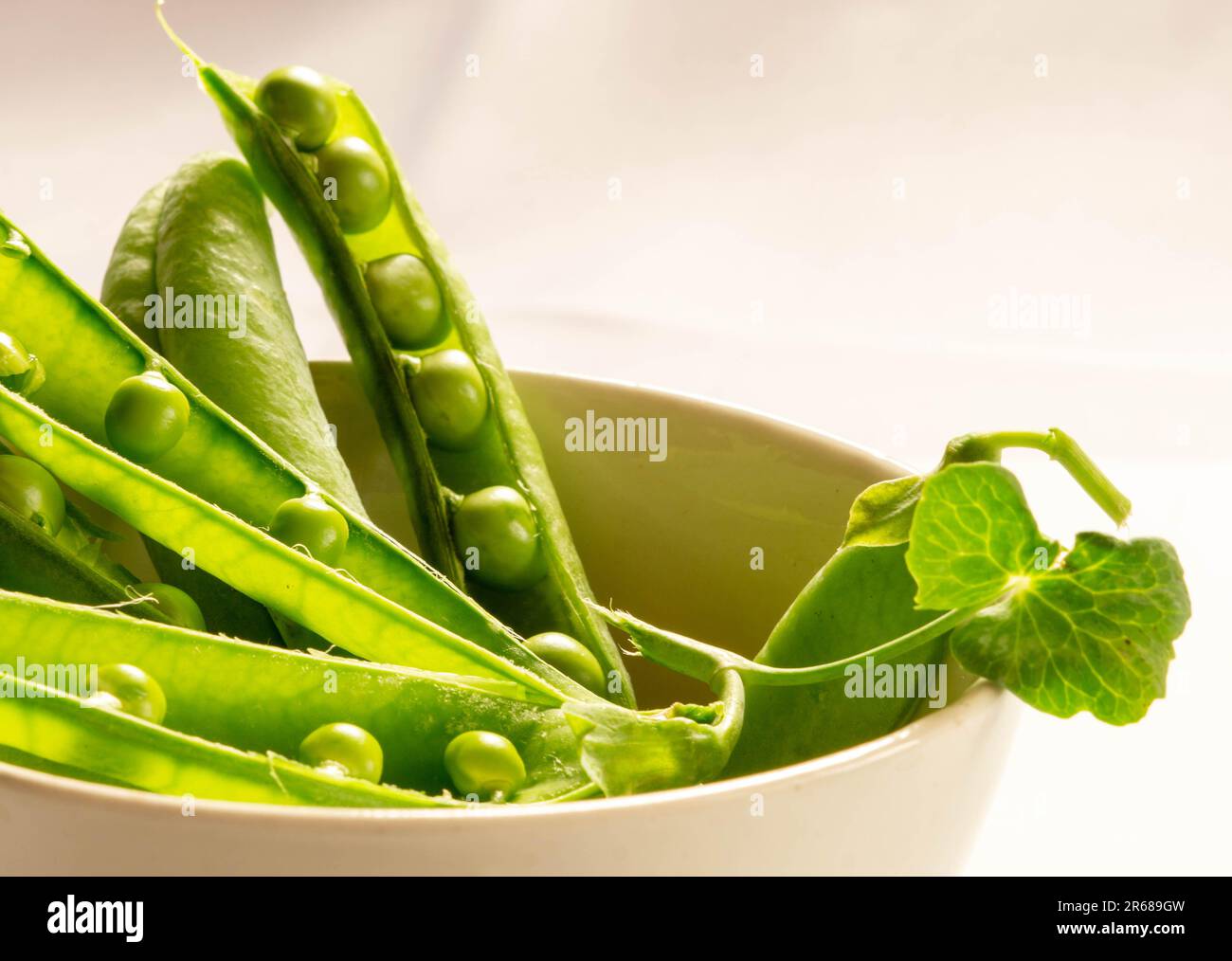Cowpea plant pods hi-res stock photography and images - Alamy