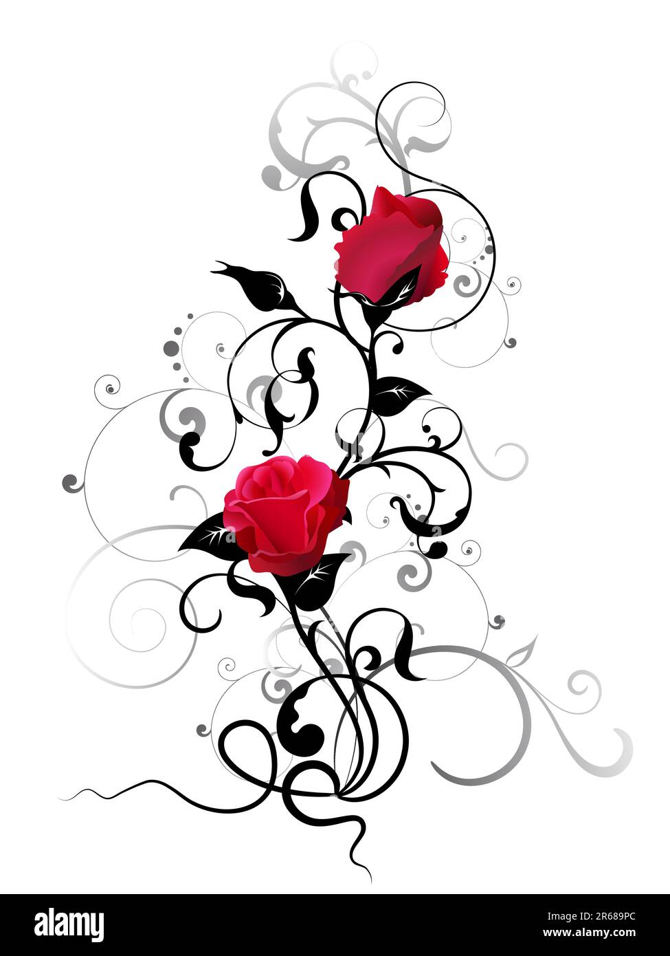 Red Rose Vine Border