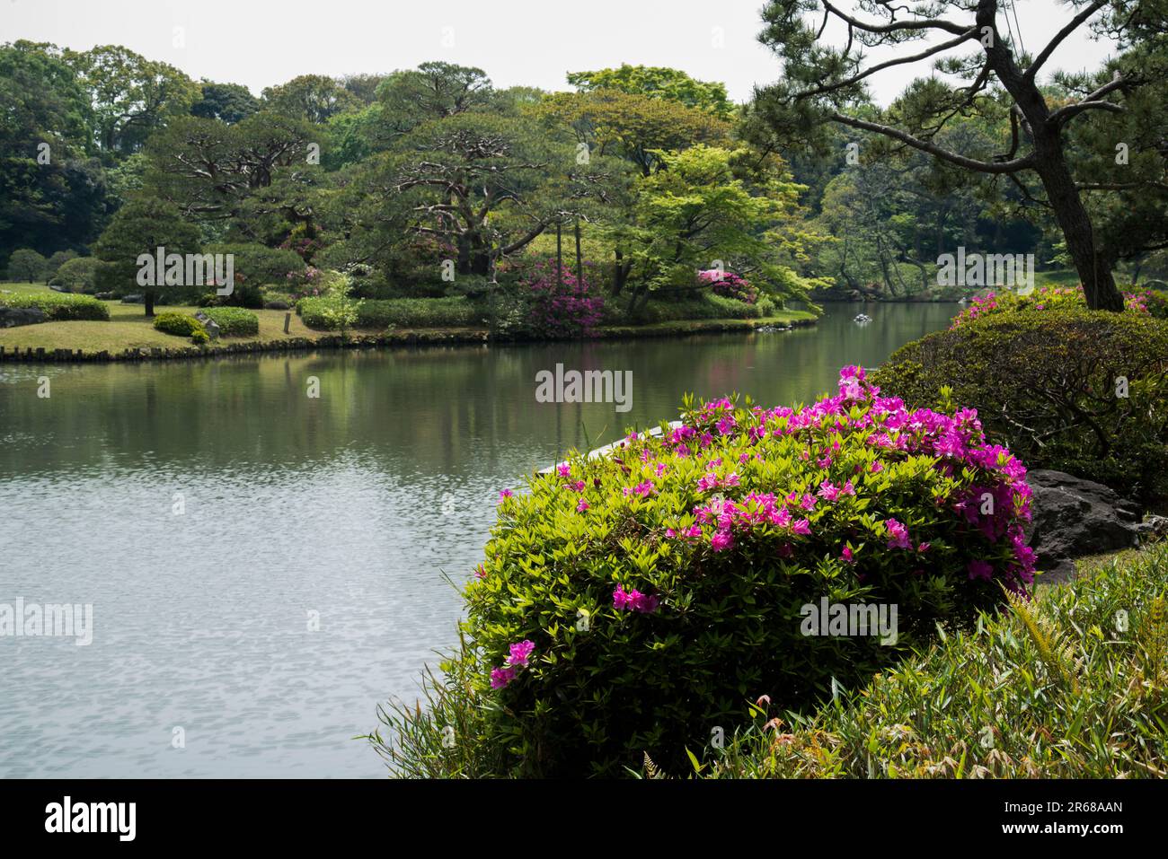Rikugien pond garden hi-res stock photography and images - Alamy