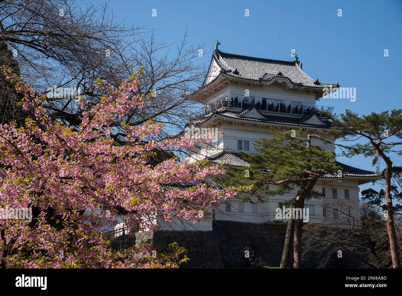 Odawara castle kanagawa japan hi-res stock photography and images - Alamy