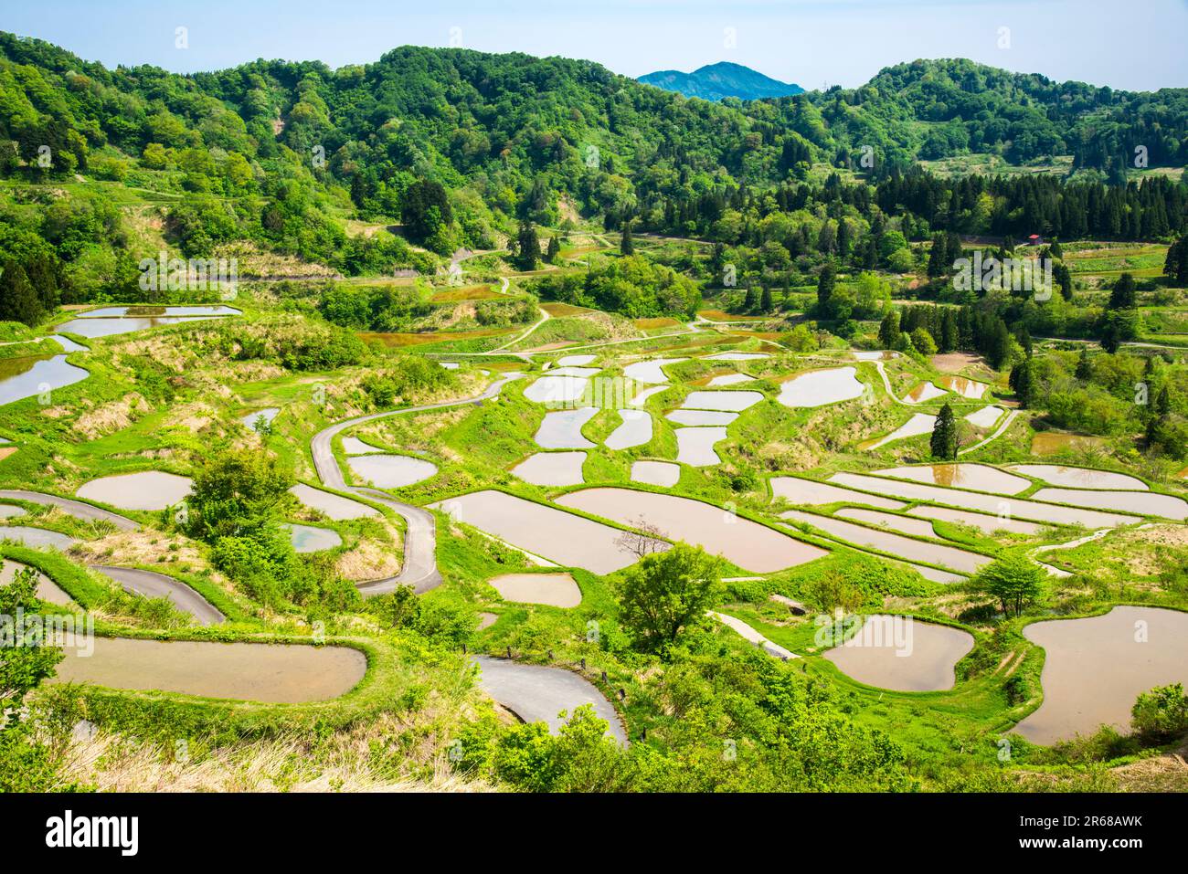 Rice terraces of Hoshitoge Stock Photo - Alamy