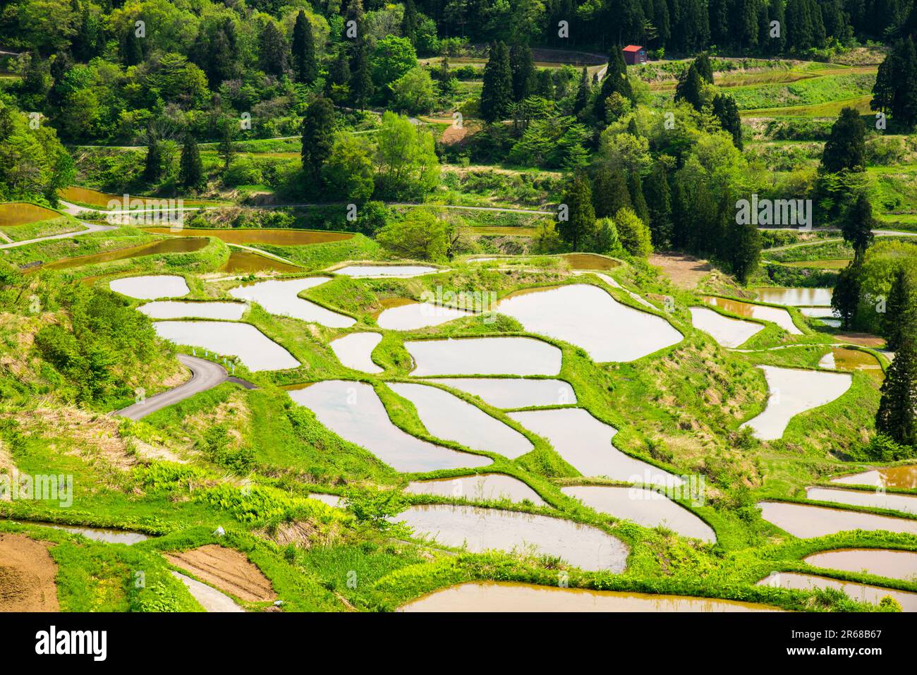 Rice terraces of Hoshitoge Stock Photo - Alamy