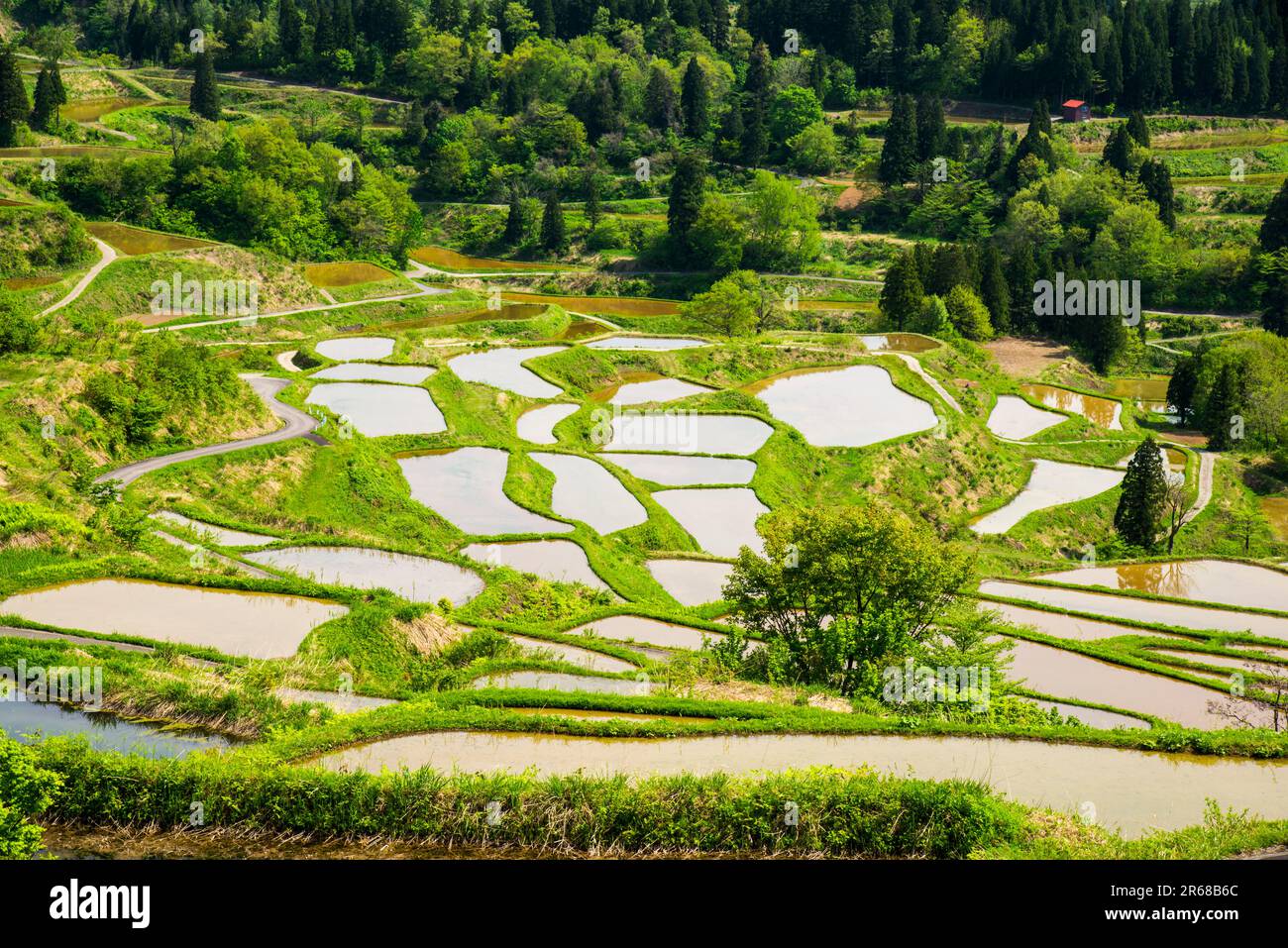 100 rice terraces hi-res stock photography and images - Alamy