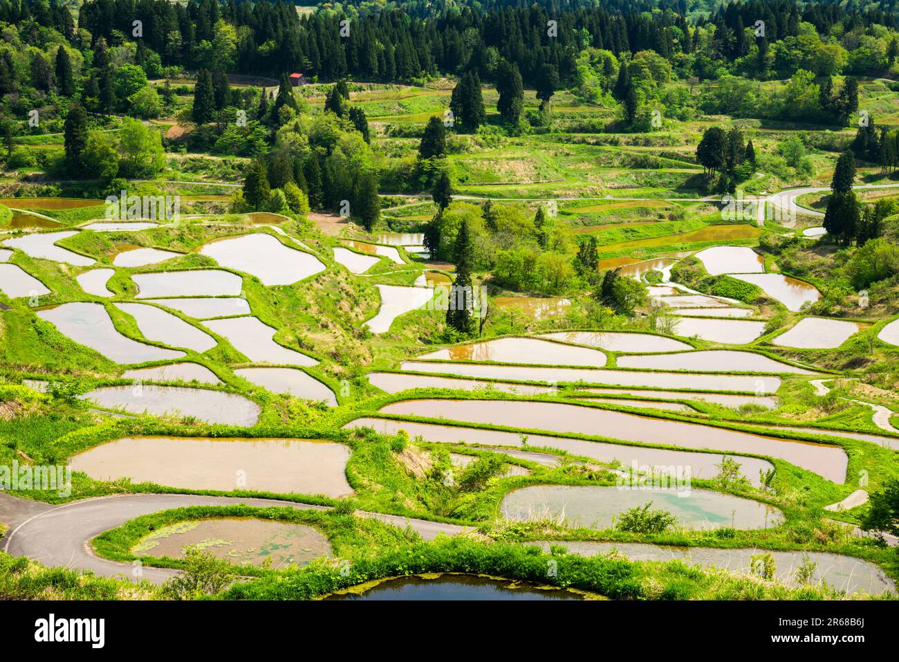 Rice terraces of Hoshitoge Stock Photo - Alamy