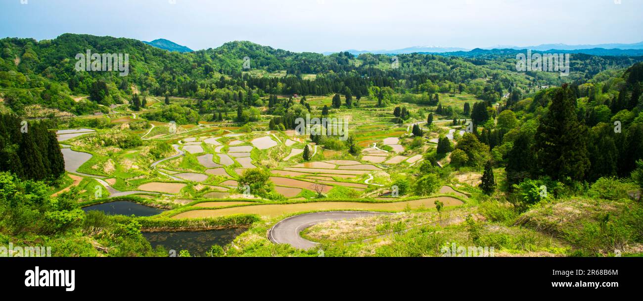 Rice terraces of Hoshitoge Stock Photo - Alamy