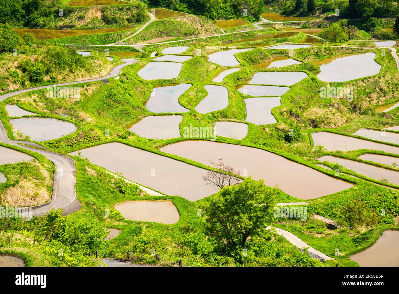 100 rice terraces hi-res stock photography and images - Alamy
