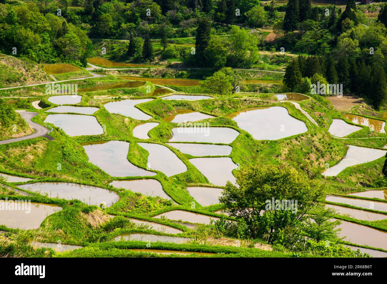 100 rice terraces hi-res stock photography and images - Alamy
