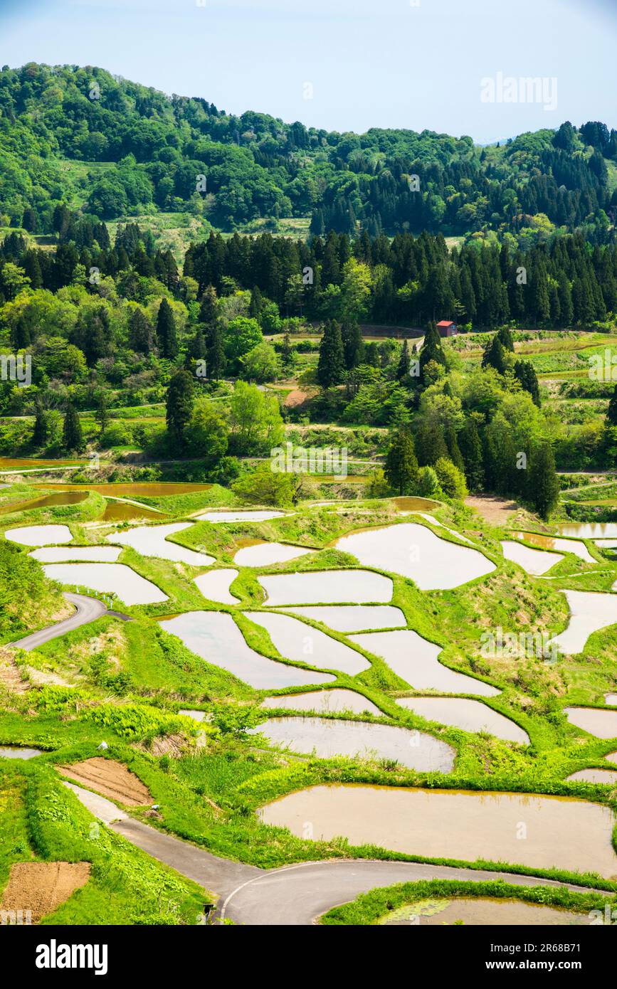 100 rice terraces hi-res stock photography and images - Alamy