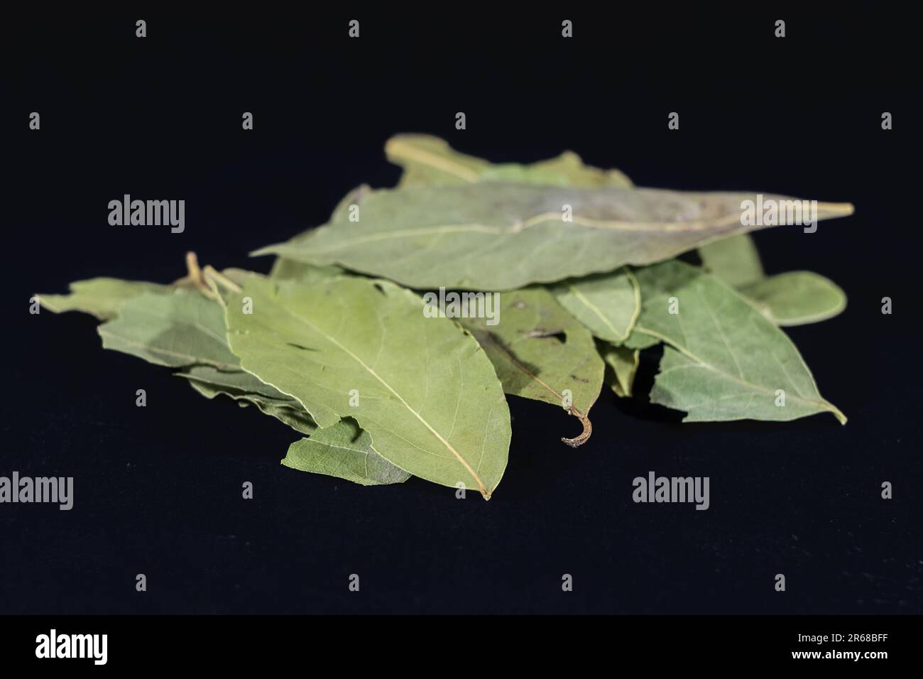 Picture of dried bayleaves on a studio isolated black background. The ...