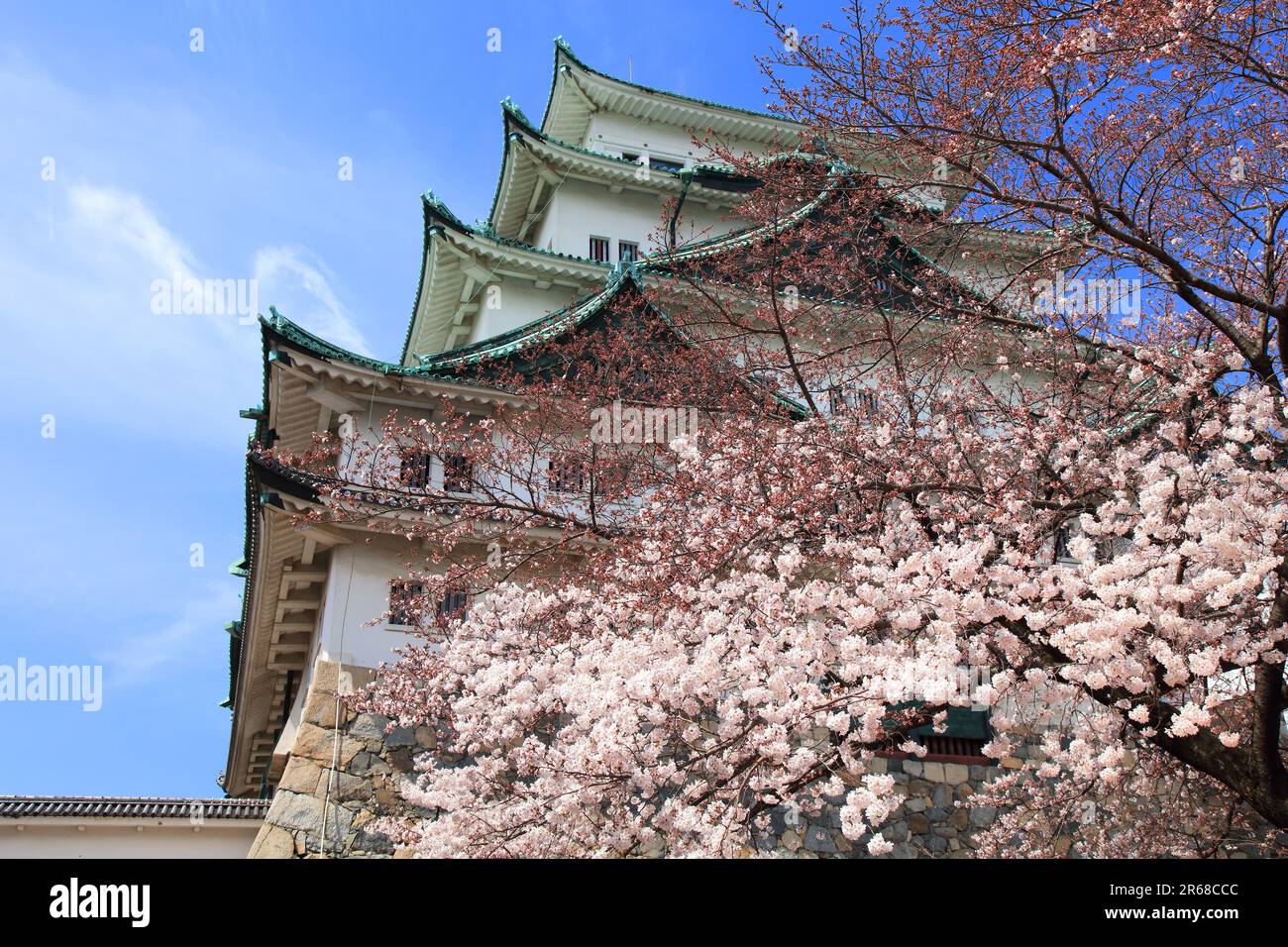 Nagoya Castle in Spring Stock Photo - Alamy