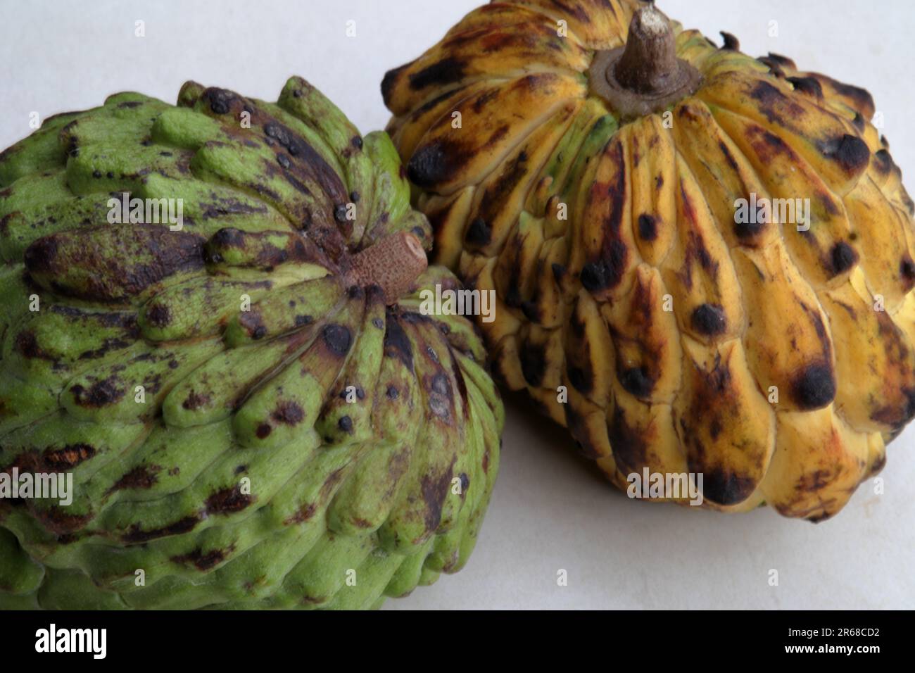 Green Atemoya and yellow fruta do conde, cientific name annona squamosa ...