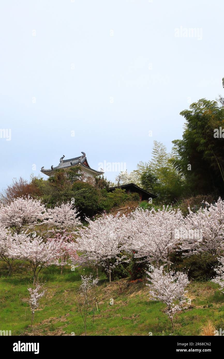 Innoshima Suigun Castle Keep in Spring Stock Photo - Alamy