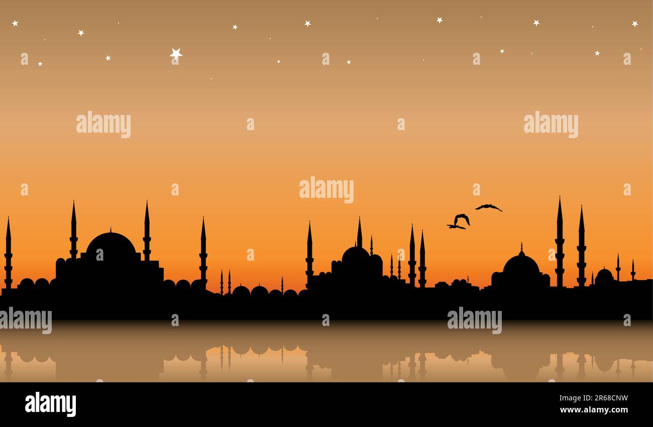 vector cityscape of Istanbul Stock Vector Image & Art - Alamy