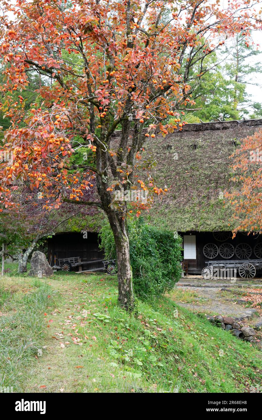 Mura village hi-res stock photography and images - Alamy