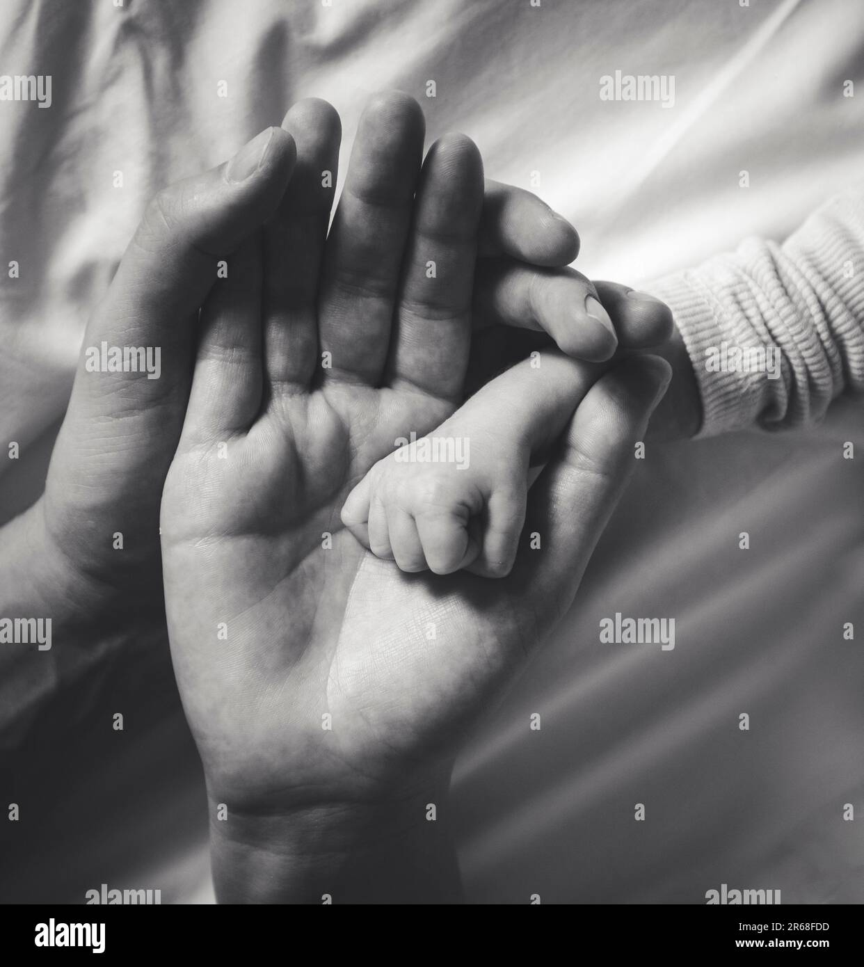 A black and white photograph of a parent's hands grasping the hand of ...