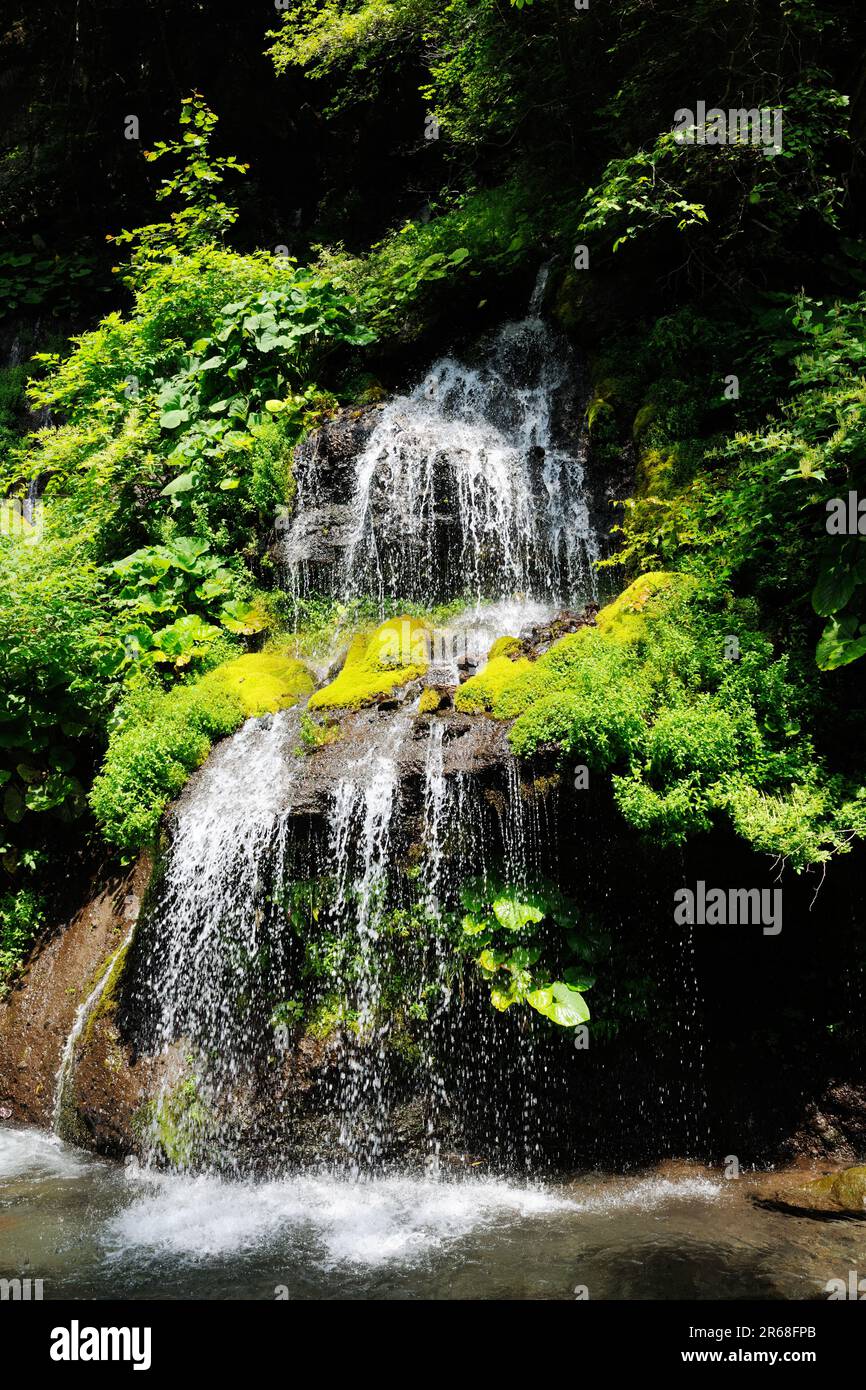 Doryuno waterfall hi-res stock photography and images - Alamy