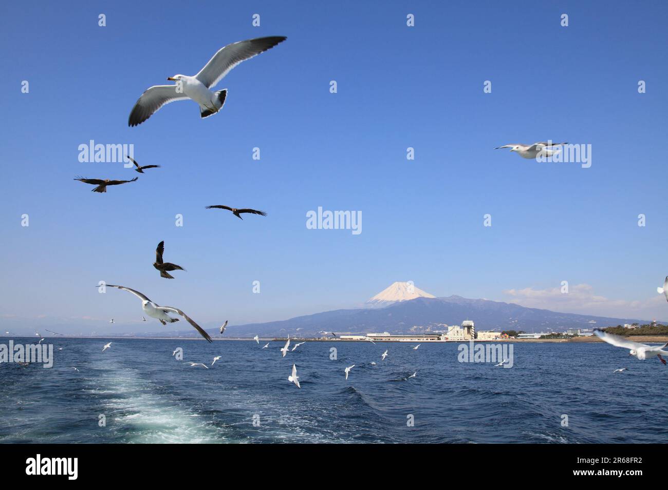 Numazu Port and Mt. Fuji Stock Photo - Alamy