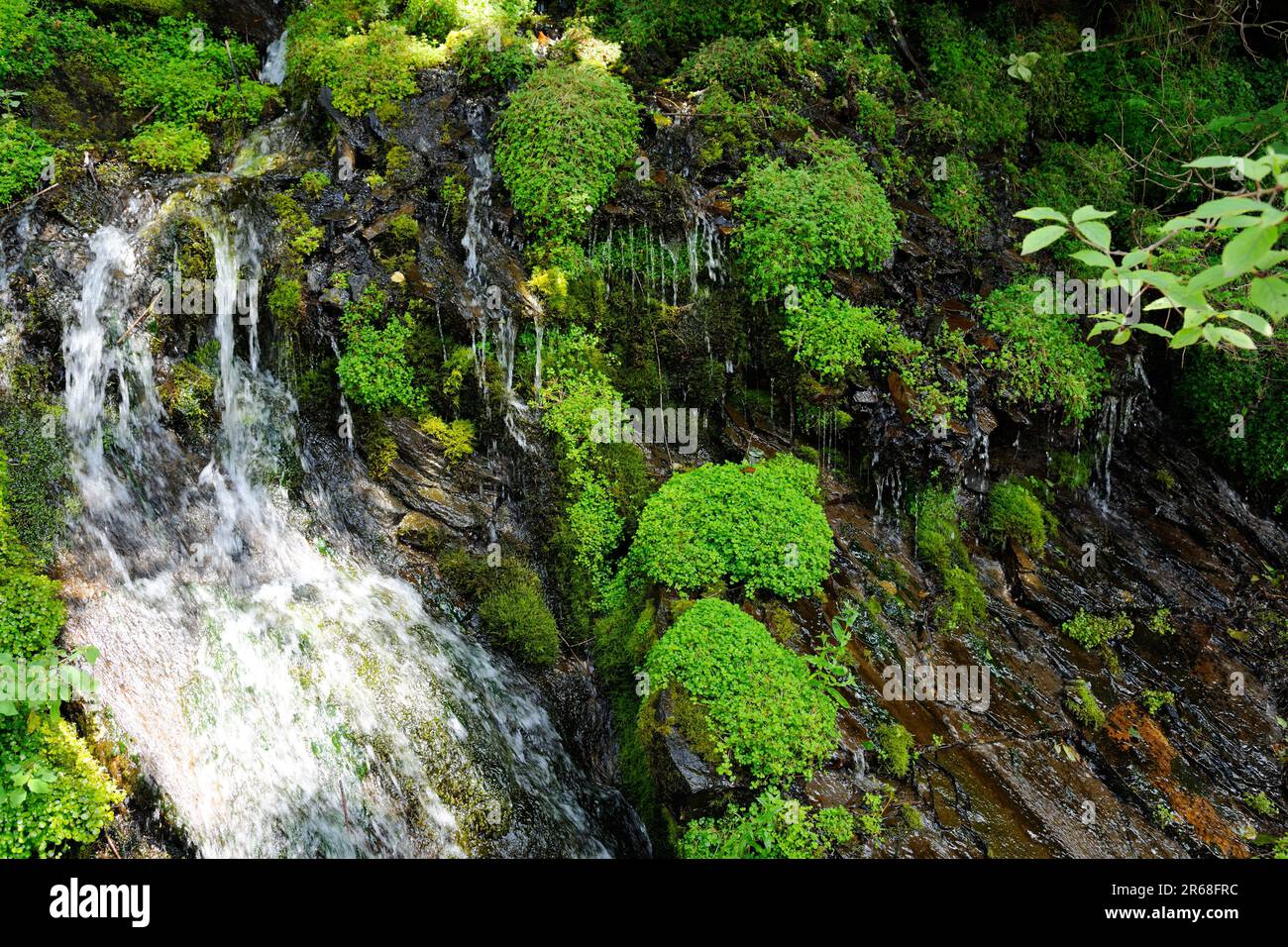 Doryuno waterfall hi-res stock photography and images - Alamy