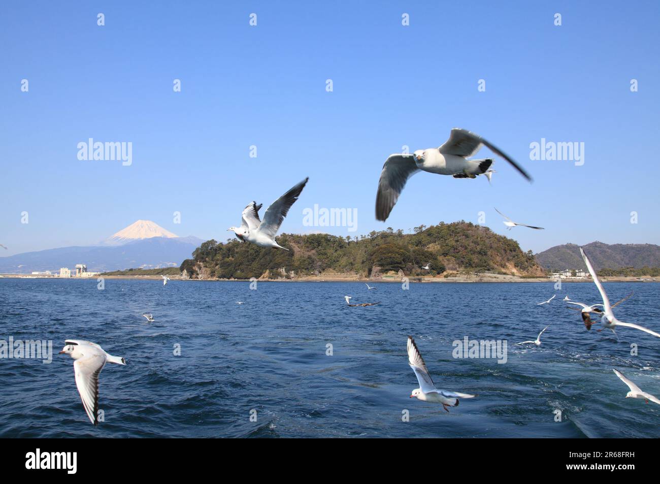 Numazu Port and Mt. Fuji Stock Photo - Alamy