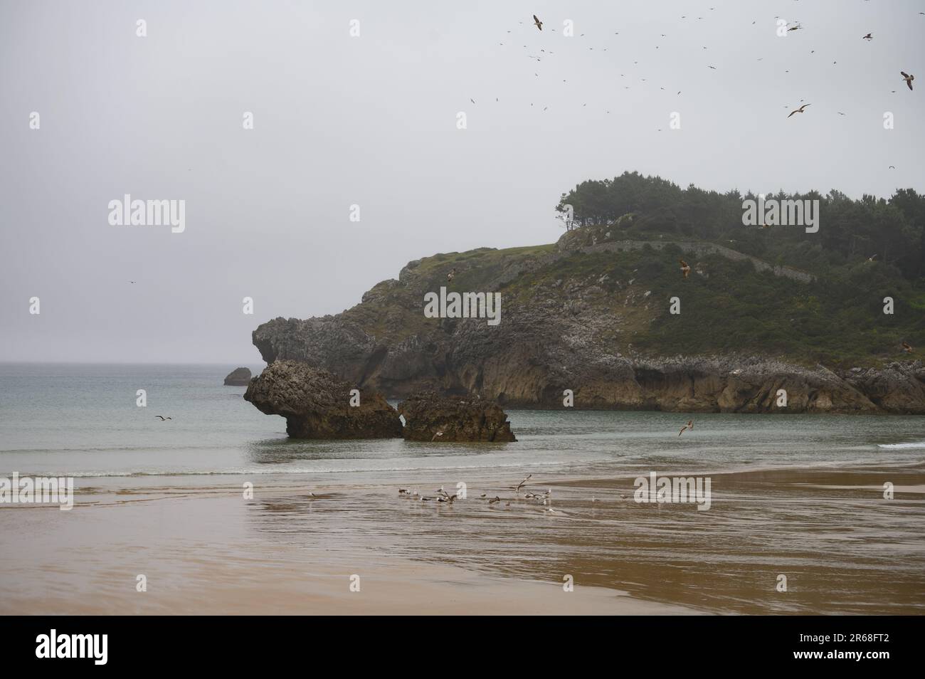 View on Playa de Palombina in Celorio village, Green coast of Asturias ...