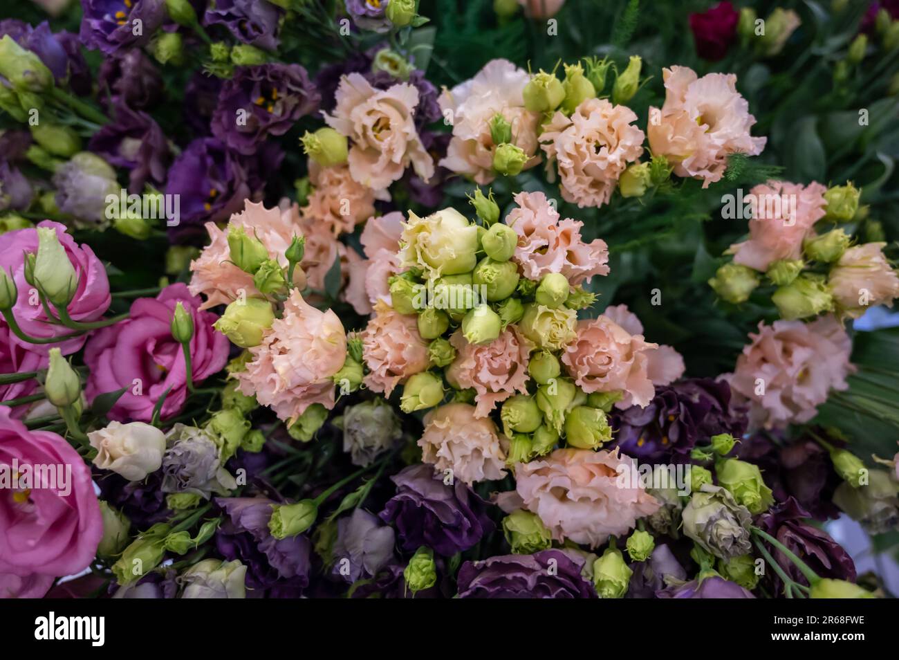 Colorful bouquet of flowers ustoma lisianthus or prairie gentian ...