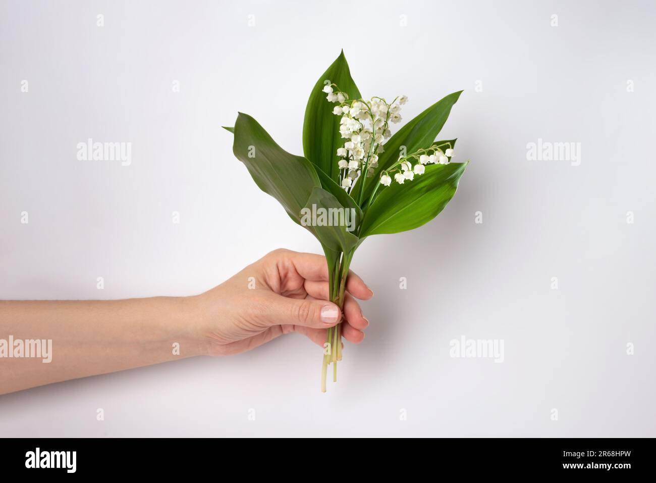 may flowers. bouquet of lily of the valley Stock Photo - Alamy