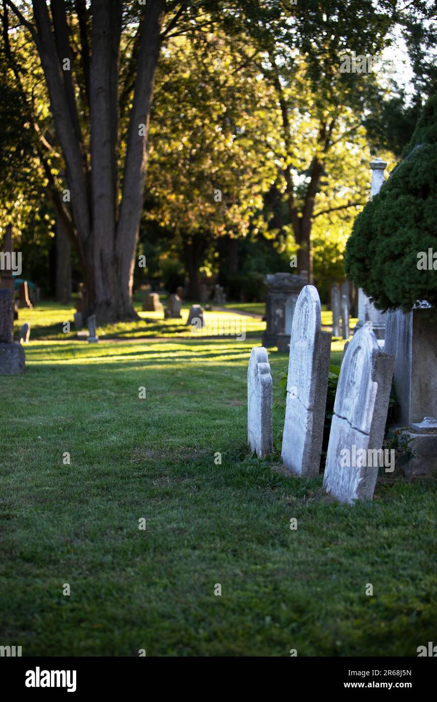 Headstones in a cemetery with Sunlit Background Stock Photo - Alamy