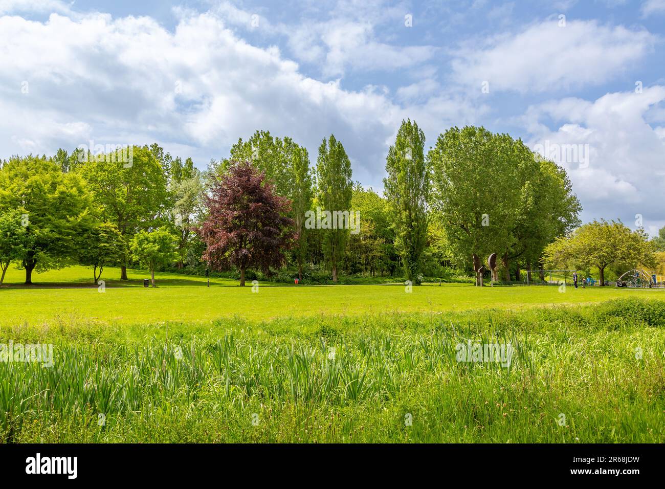 Scenic landscape in vibrant countryside park Stock Photo - Alamy