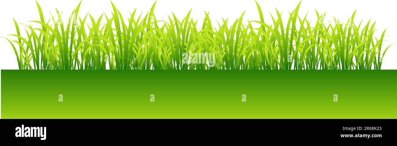 Spring, green grass for your design Stock Vector Image & Art - Alamy