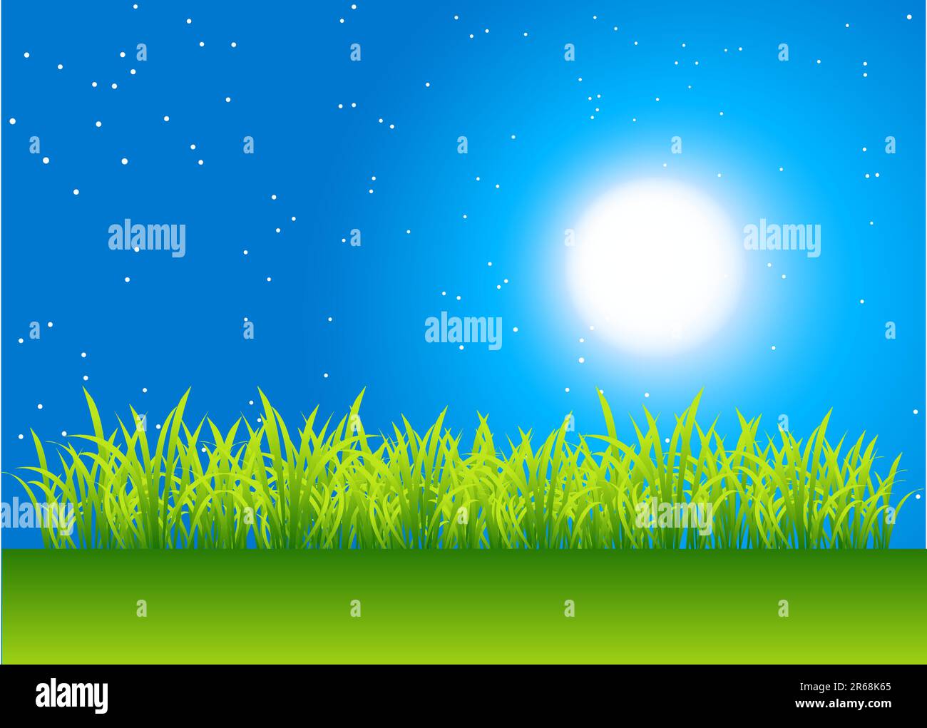 Field herb Stock Vector Images - Alamy